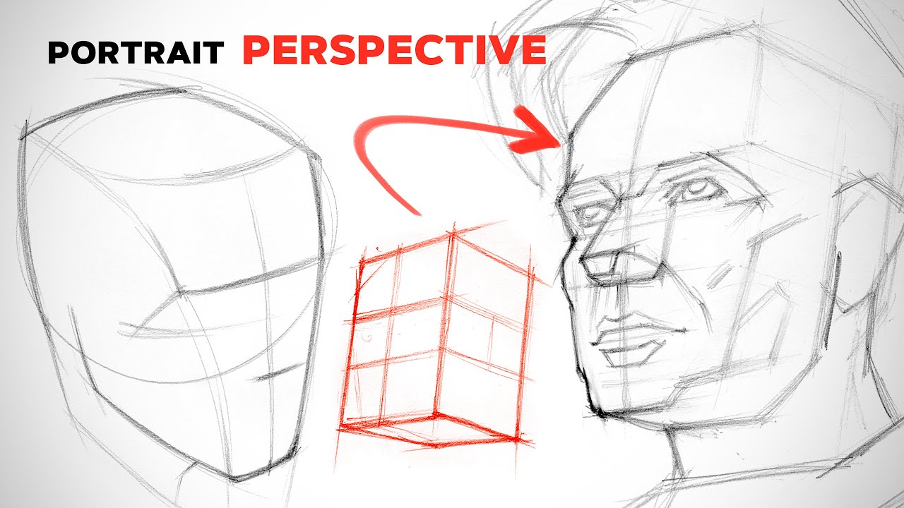 How to Draw 3D Heads with Perspective