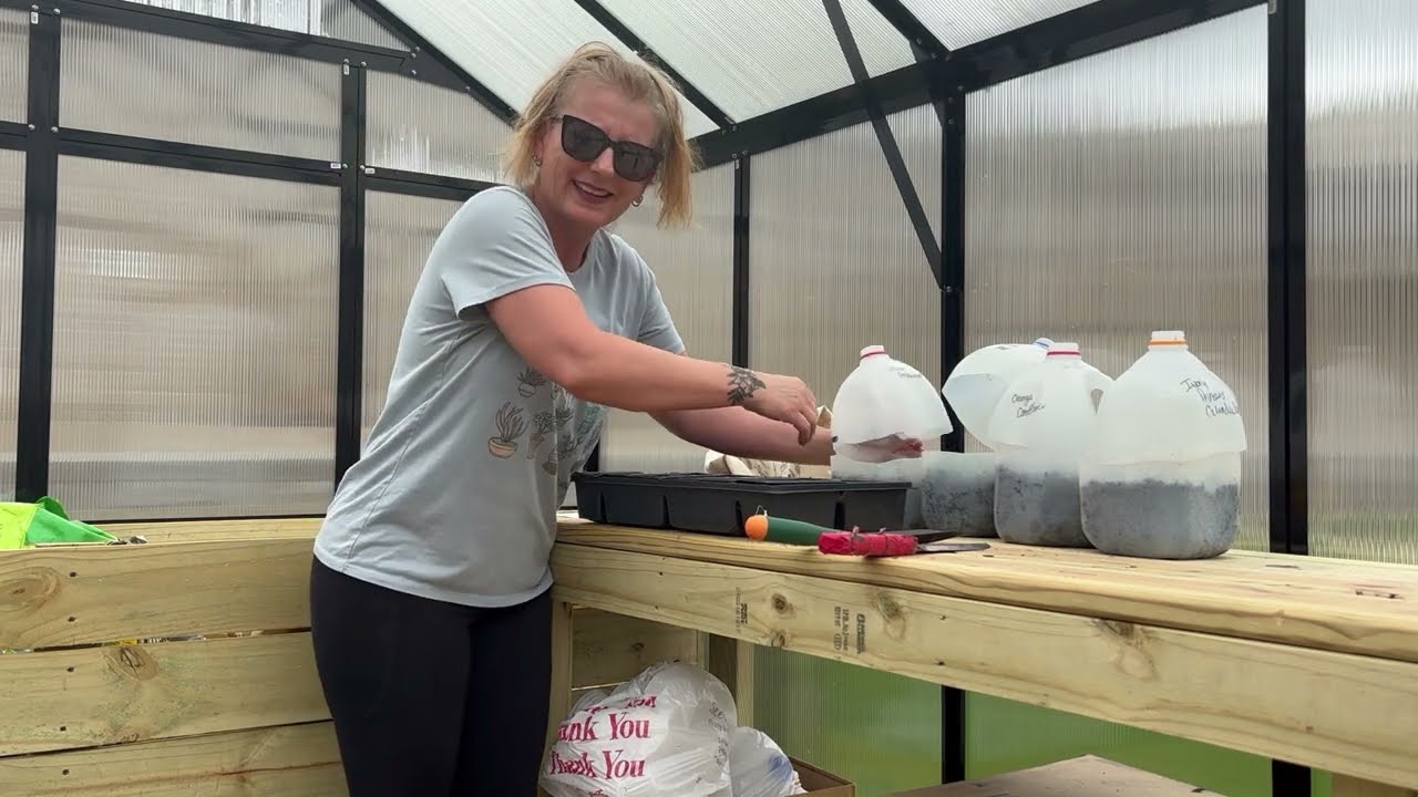 Bedford Branch Library Greenhouse