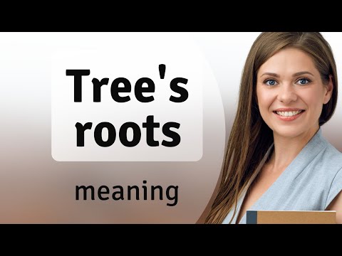 Understanding the Phrase "Tree's Roots": A Guide for English Learners