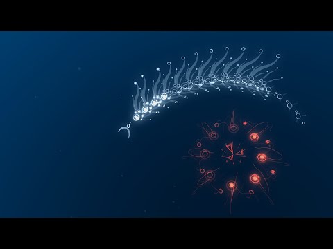 Flow Gameplay (PC)