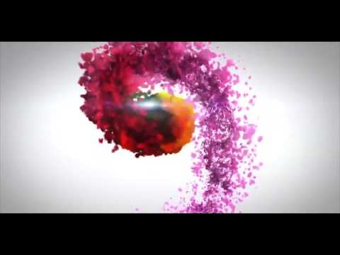 (Easy GCSE PE Tutorial) Learn The Components of a Cool Down