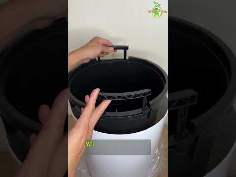 Huge self-watering pot for Indoor Tree Plants #thegreenearth #youtubeshorts #plants