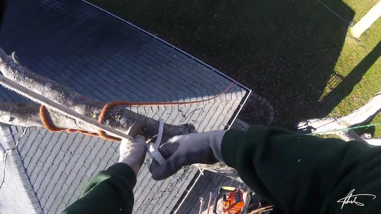 Spider Leg: Basic Setup  |  Arborist Rigging