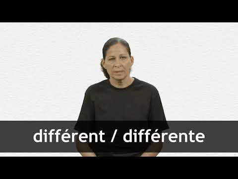English Translation of “DIFFÉRENT” | Collins French-English Dictionary