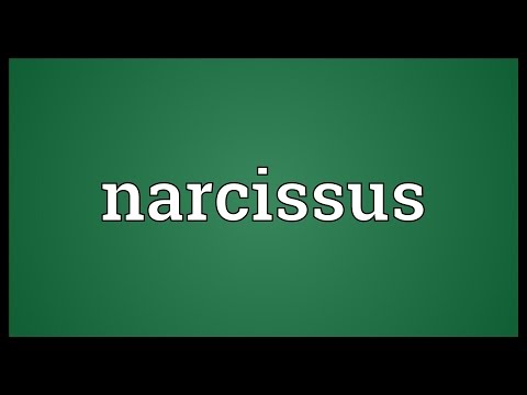 Narcissus Meaning