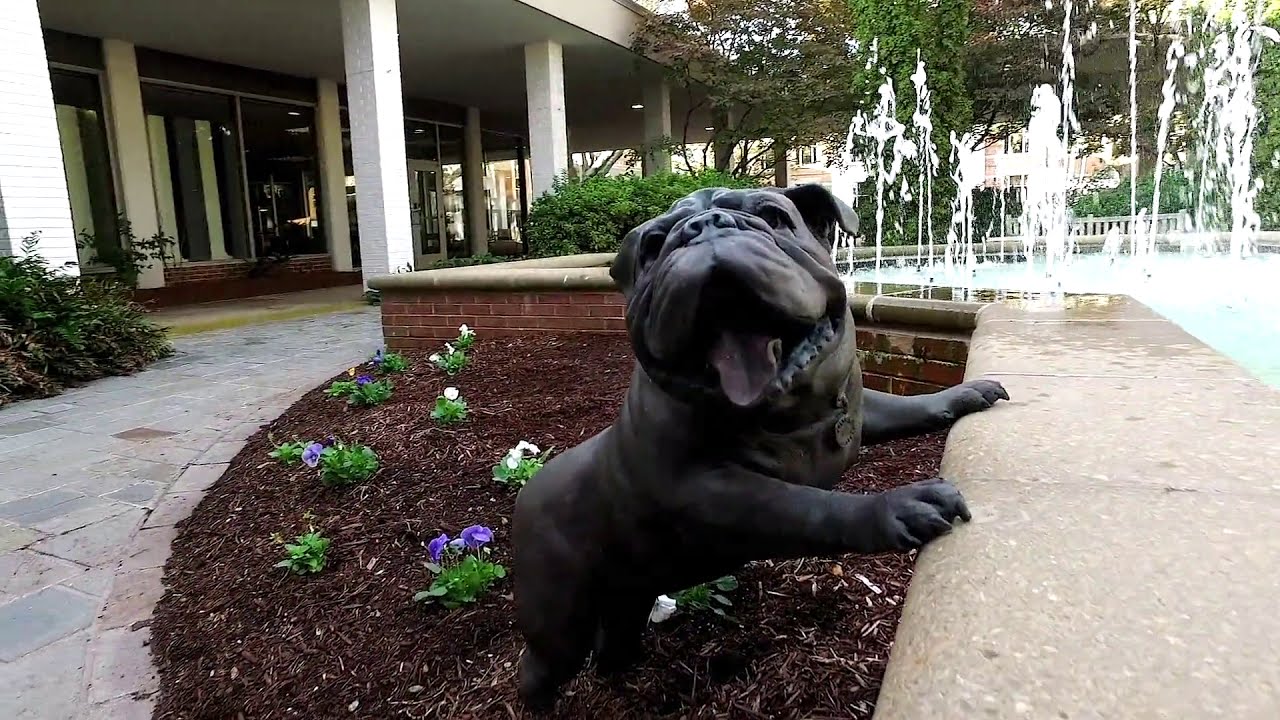 Norfolk Academy   Virtual Tour