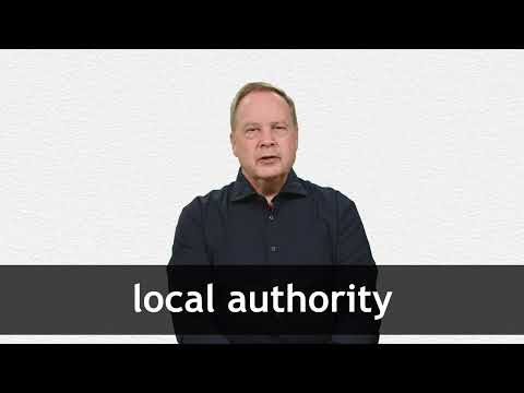 LOCAL AUTHORITY definition and meaning | Collins English Dictionary