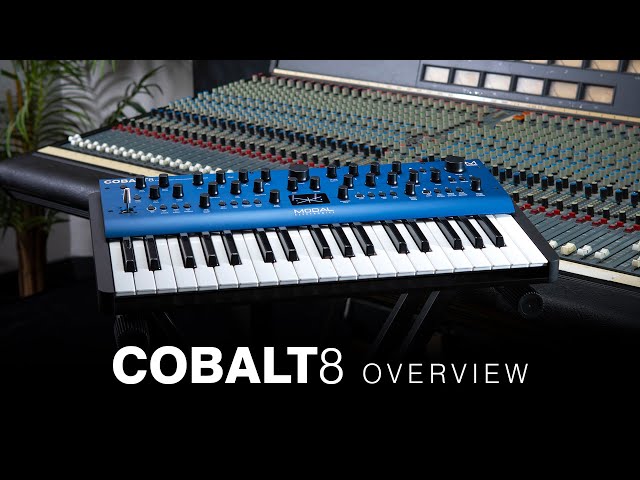 Modal Electronics Synthétiseur Cobalt8X