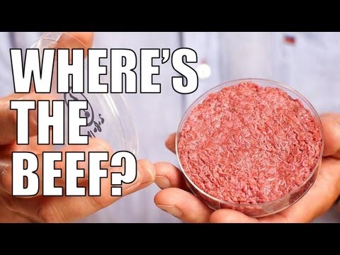 First Lab Made Stem Cell Burger Reviews - It Lacks Flavor