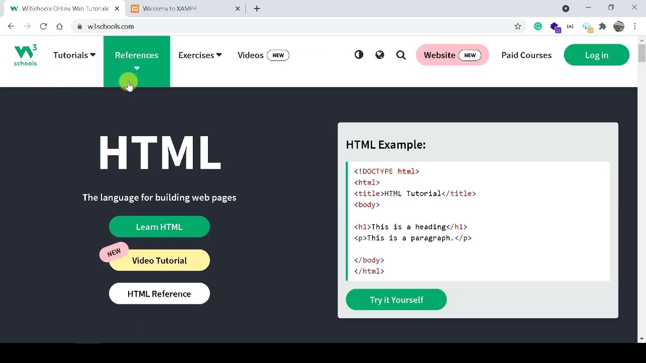 699 Web Programming I Pertemuan 5