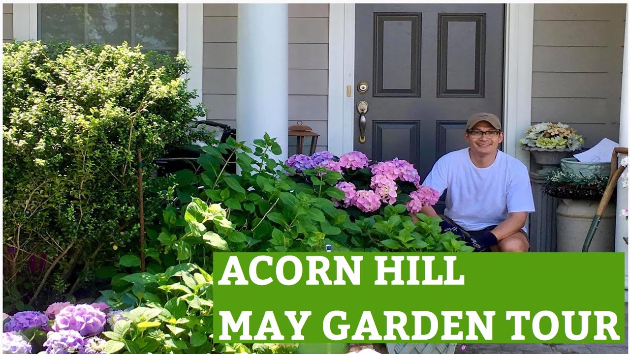 THE FIRST OFFICIAL ACORN HILL SUMMER GARDEN TOUR!