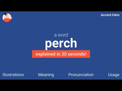 PERCH - Meaning and Pronunciation