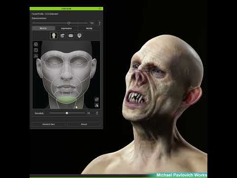 Face Tools Character Creator Test #charactercreator #zbrush