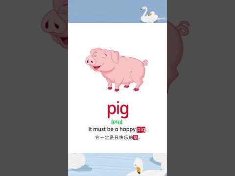 529 启蒙单词|第十集|猪pig猪跟着我一起读吧 #英语绘本 #儿童英语启蒙 #每日亲子英语