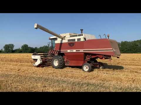 Inizio campagna cerealicola 2025. Mietitrebbiatura dell'orzo.