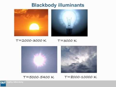 ENB339 lecture 6: The source of colour