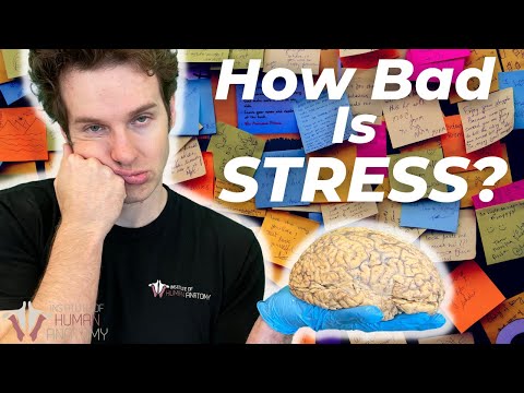 The Most Stressful Thing the Body Can Experience