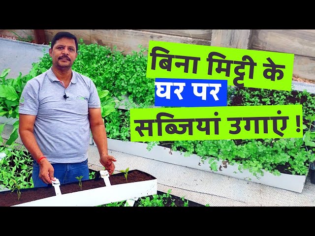 SOILLESS GROWING SOLUTIONS - 210 Open Type Mapal Strawberries Soilless ...