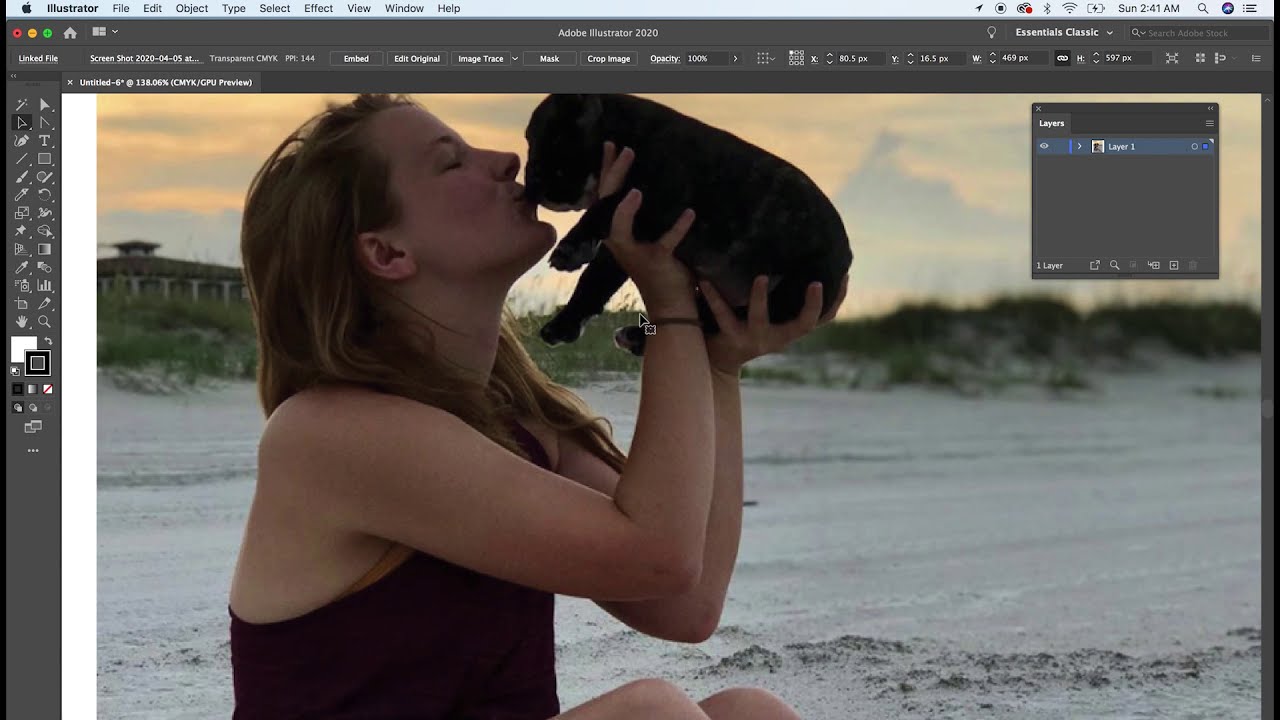 Continuous Line Drawing Adobe Illustrator Tutorial