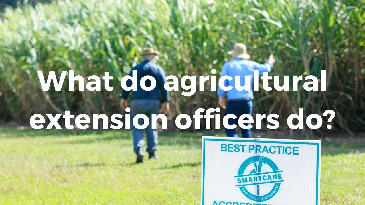 Agricultural Extension: What is it?