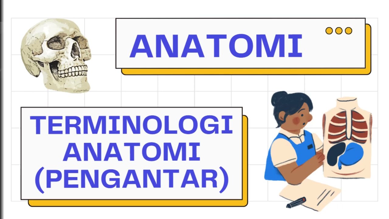 Anatomi Dasar | Cara Mudah Memahami Anatomi