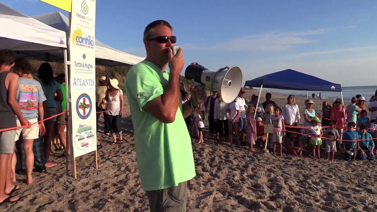 Tour de Turtles - Sea Turtle Conservancy (STC)