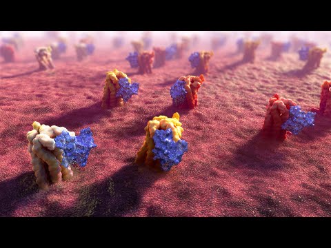 Octreotide Injection - Sandostatin LAR Latest Price, Manufacturers ...