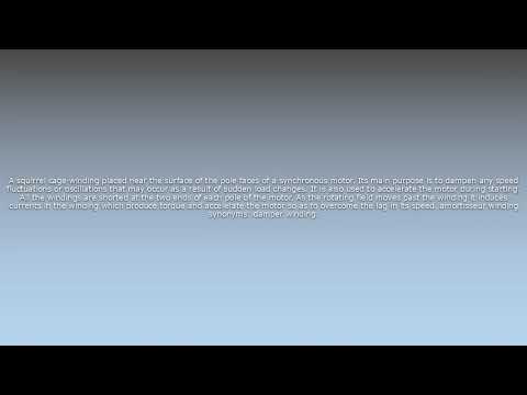 What does Amortisseur winding mean?