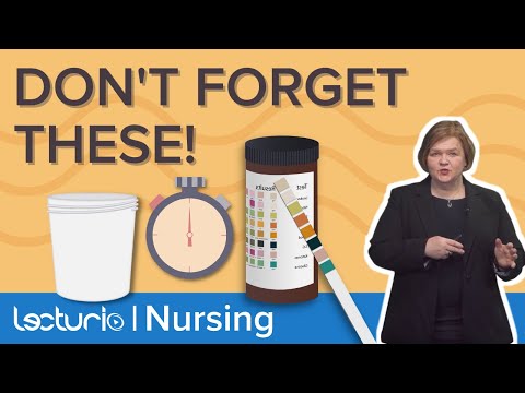 URINE DIPSTICK: Intro & What Items You'll Need for Urinalysis– Med-Surg Nursing | Lecturio Nursing