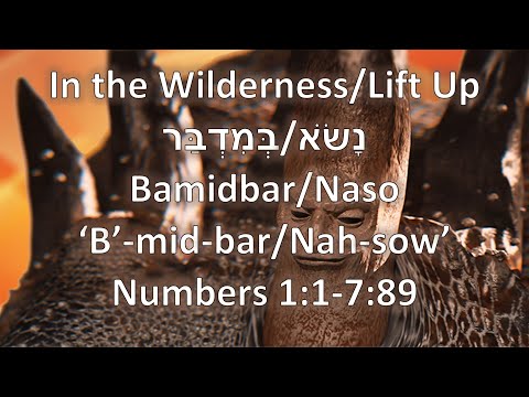 In the Wilderness & Lift Up (Torah Portions: Bamidbar and Naso) 2022 ...