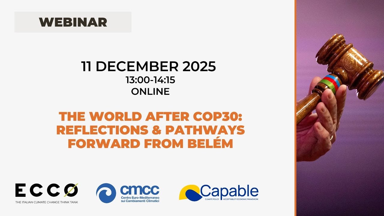 Webinar - The world after COP30: reflections & pathways forward from Belém