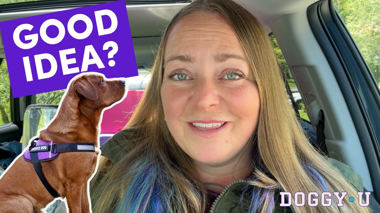 Should You Adopt a Rescue Dog for Service Work?