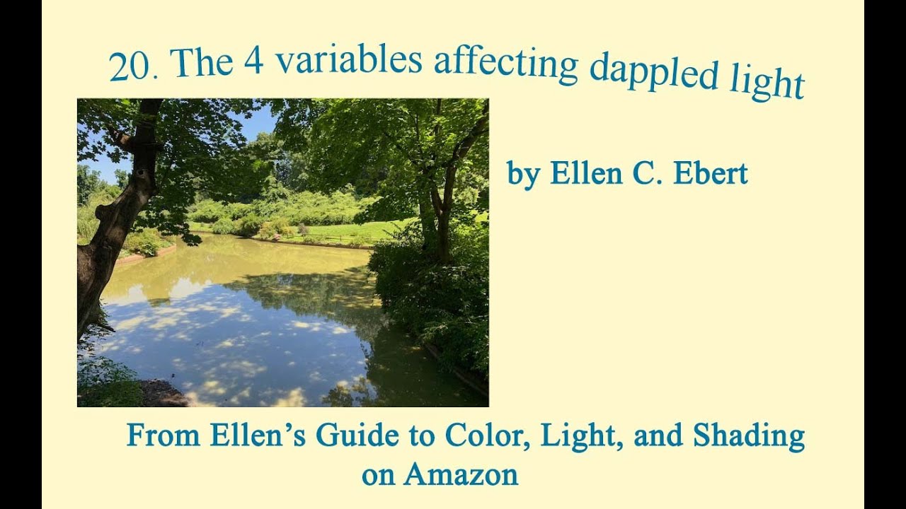 20.  The 4 variables affecting dappled shade