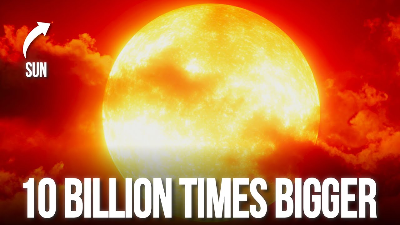 The Largest Star Ever Discovered in the Universe