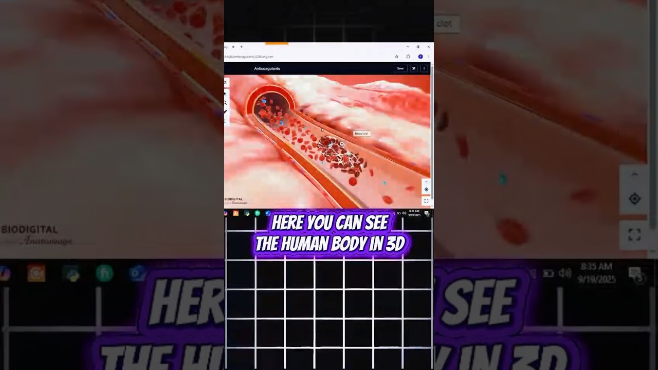 Human body 3D animation🧠 Human BioDigital – Explore 3D Human Body | #anatomymodel #skeletalanatomy
