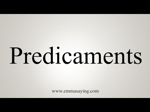 How To Say Predicaments