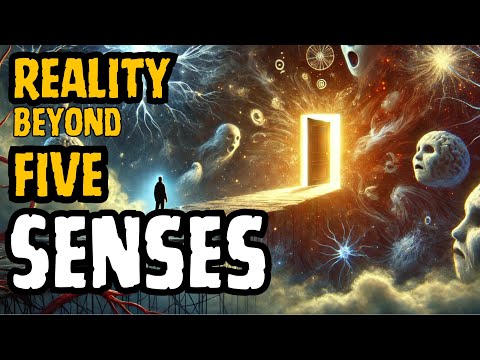 Exposing the Hidden Lies of Our Senses