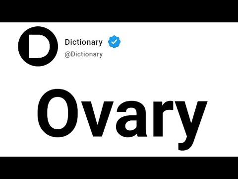 Ovary Meaning In English