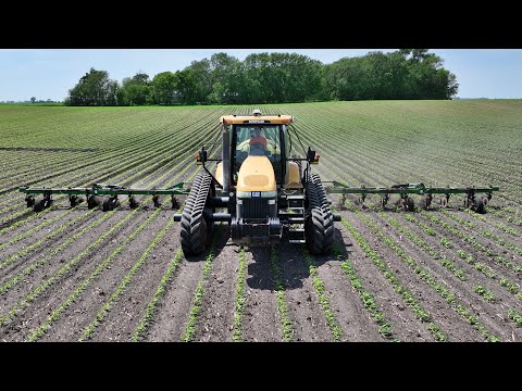 Putting my NEW equipment to the TEST... Feeding the Corn