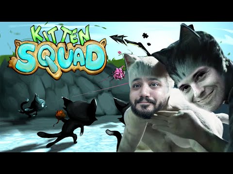 Peta's Kitten Squad is a CAT-astrophe - Mike and Tony Tuesdays