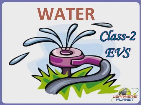 Science grade 2 recorded lecture on water for kids|Science worksheets class two link in desc
