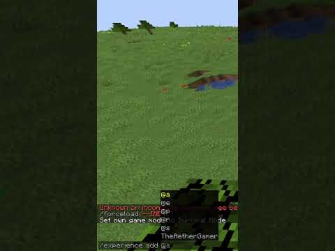 How to give yourself A TON OF XP in Minecraft 1.17! (Tutorial) #Shorts
