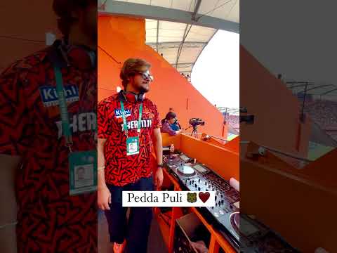 Pedda Puli DJ Song | Peddapuli Telangana Song In IPL 2024 | DJ Ravish | Sunrisers Hyderabad