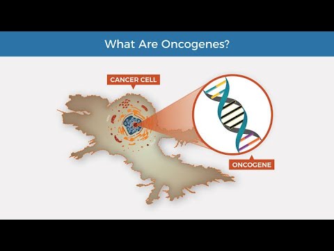 Oncogenes Tumor Markers ; Ras genes, C myc, Bcl 2, BCR ABL, RET, HER 2Neu c erb