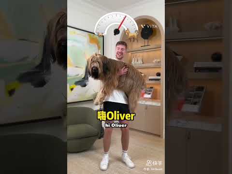 Lose 100 LBS, Win $250,000! Holding Bigger and Bigger dogs