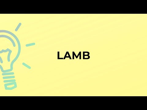 What is the meaning of the word LAMB?