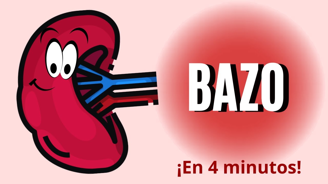 Bazo ¡En 4 minutos!