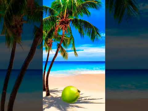 #coconut is falling down #viralvideo #shorts