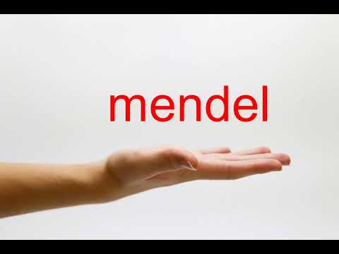 How to Pronounce mendel - American English