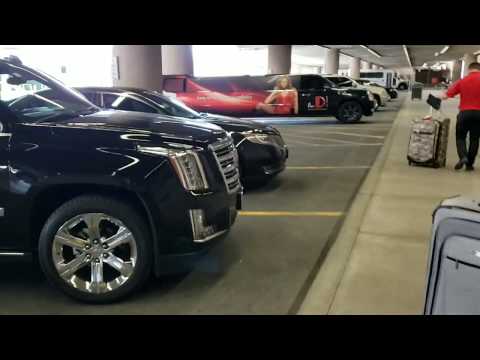 The D Las Vegas Limo Transport and The D suite